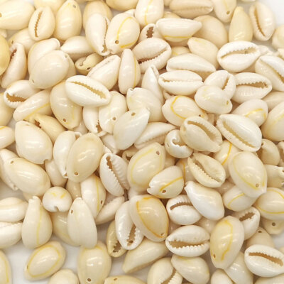 50 Pcs Small Bulk Cut Sea Shell White Cowrie Cowry Beads Beach Jewelry ...