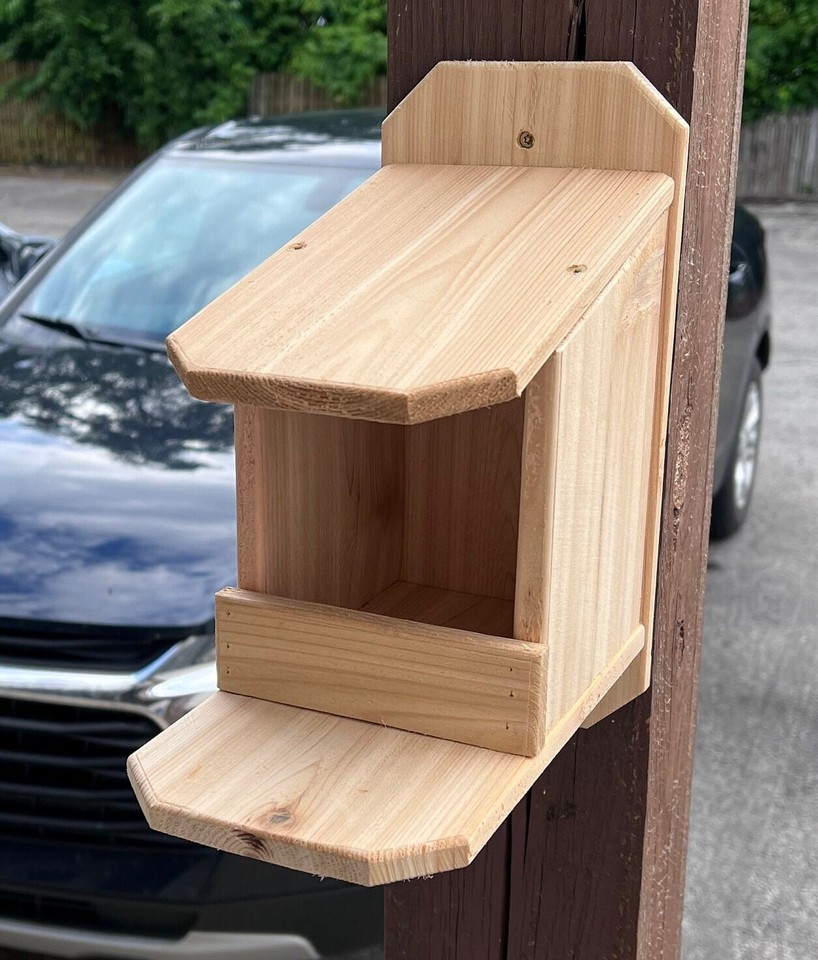 Cedar Bird Nesting House~Dove Nesting Box~Bird House~Pigeon Nesting Box ...