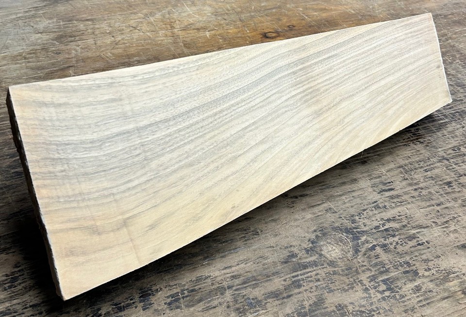 RIBBON CURL BEAUTIFUL GRAIN English Walnut Gunstock Stock Blank Shotgun ...