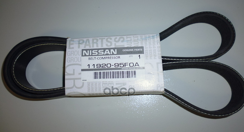 11920-95F0A Nissan Belt-compressor 1192095F0A, New Genuine OEM Part | eBay