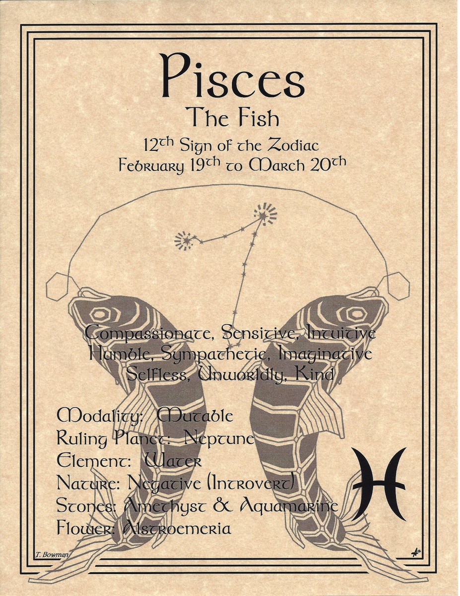 Zodiac signs astrograph 60 photos - Astrologytoyou.com