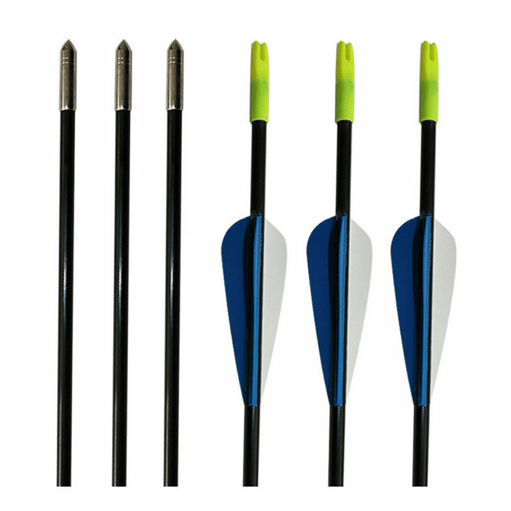 100x 31" Fiberglass Arrows Archery Hunting Target Compound Bow Fiber ...