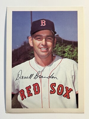 1967 Boston Red Sox Team Issue DARRELL BRANDON 10x14cm Color Photo Card ...