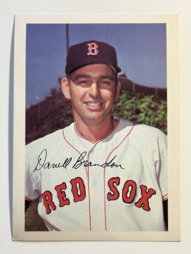 1967 Boston Red Sox Team Issue DARRELL BRANDON 10x14cm Color Photo Card ...