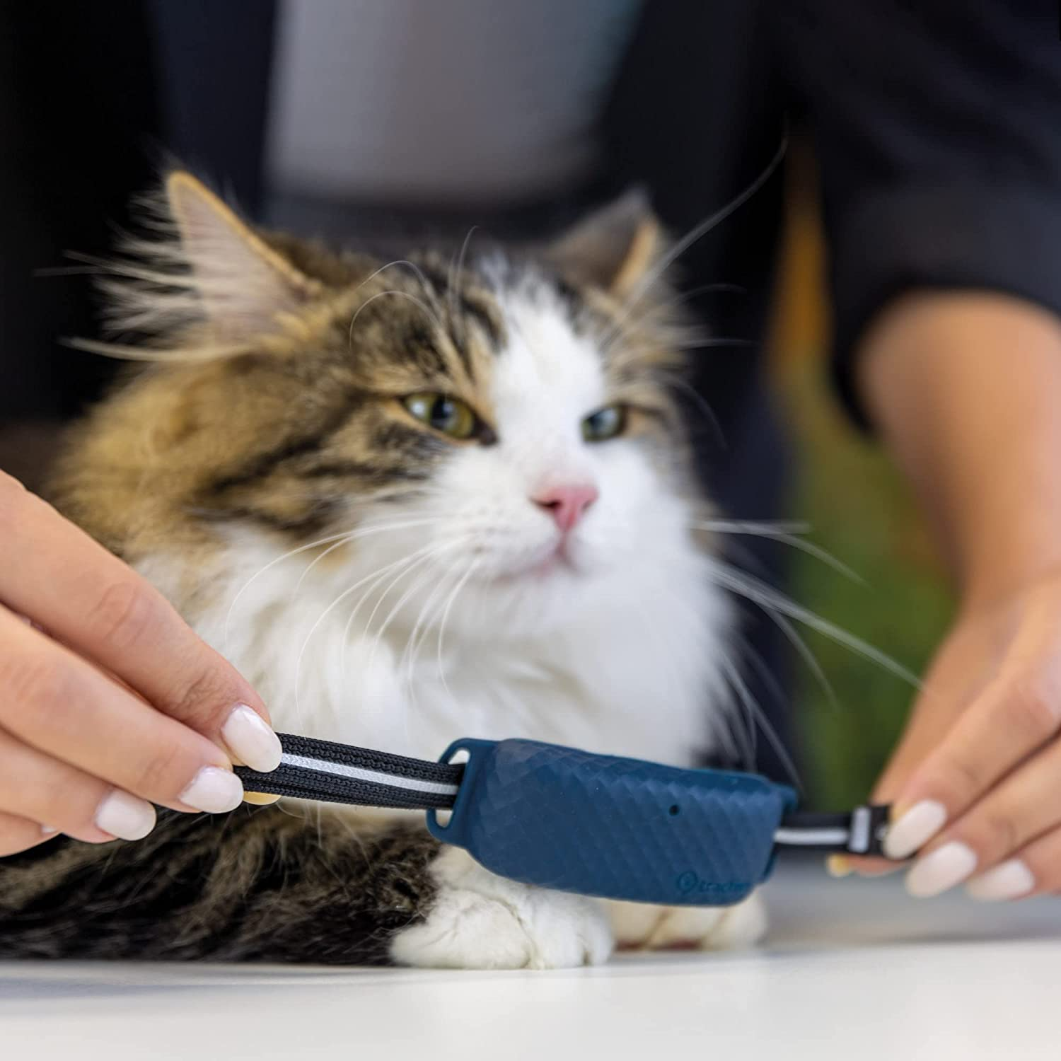 Tractive GPS CAT 4 Collar Attachment X3, Midnight Blue, Glow-In-The ...