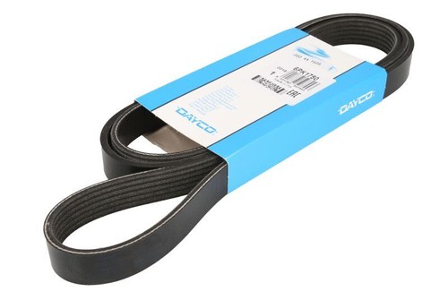 V-Ribbed Belt DAYCO 6PK1750 | eBay