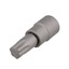 ABN | Torx Plus 55 TP55 Torx Socket with 3/8” Inch Square Drive ...
