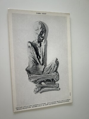 Petrified Being Frozen Niagara Postcard | eBay