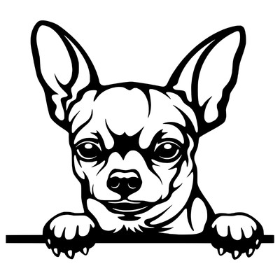 Peeking Chihuahua Decal Car Truck Laptop Wall Tumbler Stickers | eBay