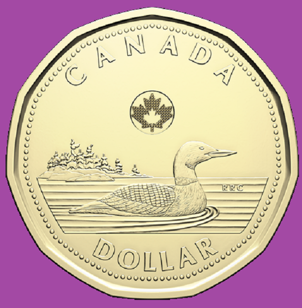 2026 Canada One Dollar Loonie Coin King Charles III Mint UNC. $1 Loon ...