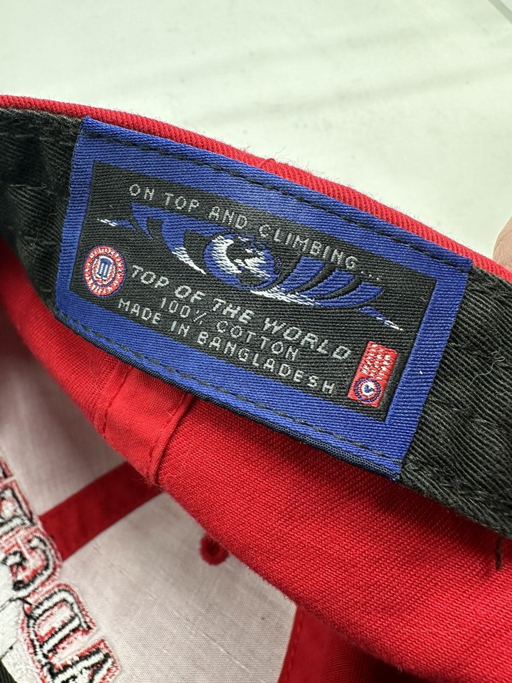 Wisconsin Badgers On Top And Climbing Hat Easy Fit Lids Hatworld Cotton ...