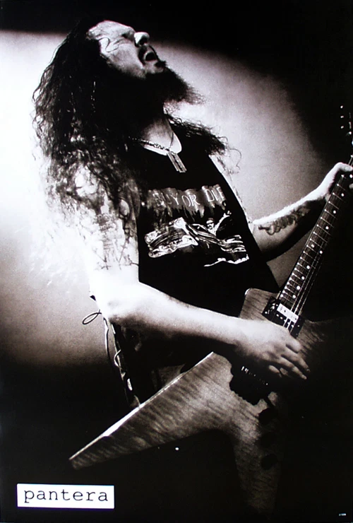Dimebag Darrell Poster