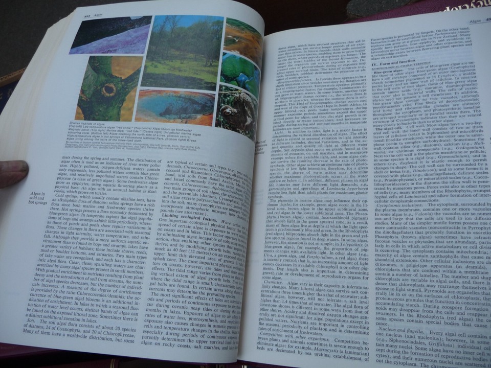 Encyclopedia Britannica Red Regency 15th Edition SET 30 Volumes Orig ...