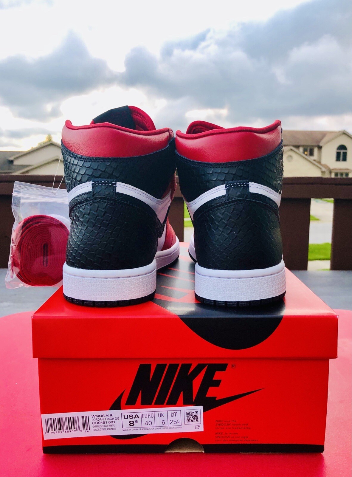 Nike Air Jordan 1 Satin Snake Chicago Men Size 7 / Women 8.5 Bred Dunk ...