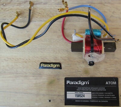 Paradigm Atom Crossover, Name Badge & Label Original Speaker ...