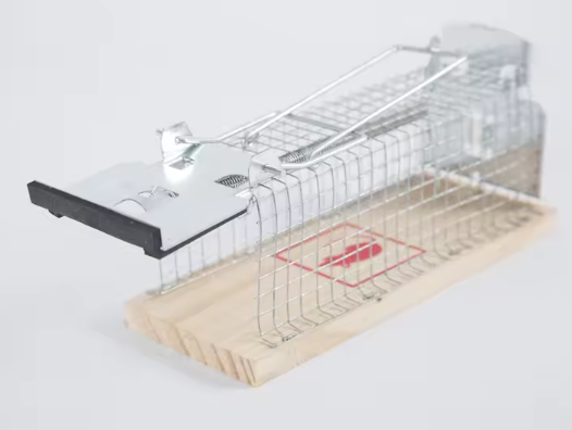 2 pack of humane mouse traps wooden - Catch and release | eBay UK