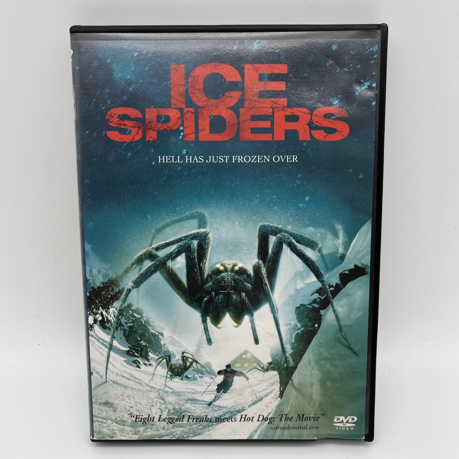 Giant Killer Spiders