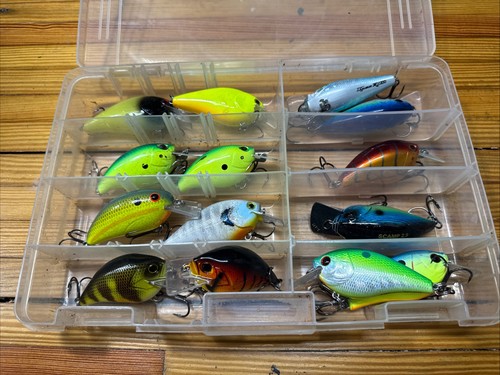 Bass Fishing square bill crankbaits lot 14 Lures + Box | eBay