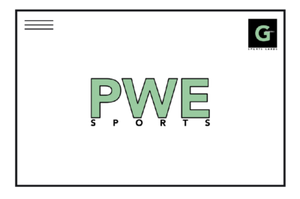 PWE SPORTS | eBay Stores