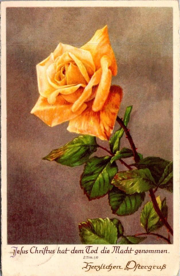 GOLDPATH: Germany postcard 1936 CV886_P23 | eBay