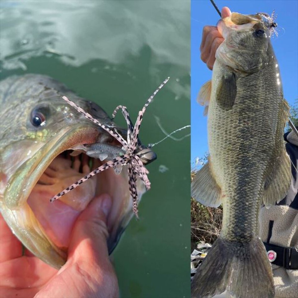 Daiwa Rubber Jig Steez Power Finesse Jig 2.7g Swamp Crayfish | eBay