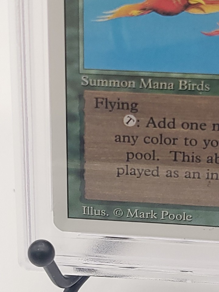PSA 8 1994 MTG MAGIC THE GATHERING REVISED BIRDS OF PARADISE GRADED | eBay