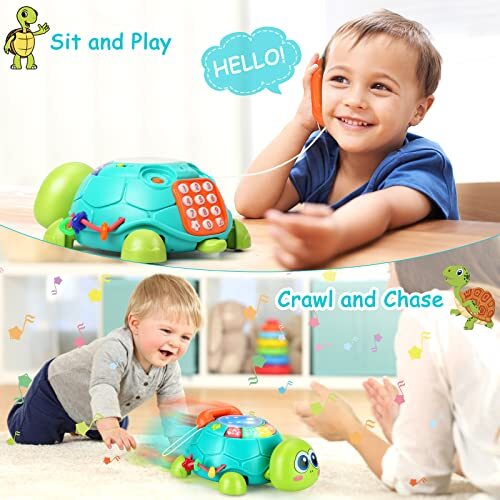 Musical Turtle Baby Toys 6 to 12 Months, Development Toy for 6 7 8 9 ...