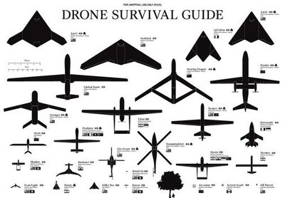 Drones Identification Chart Poster 24in x 36in | eBay