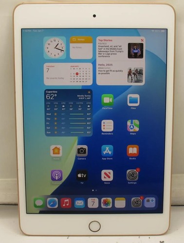 Apple iPad Mini 5th Gen A2133 7.9" 64GB Wi-Fi Gold MUQY2LL/A Good ...