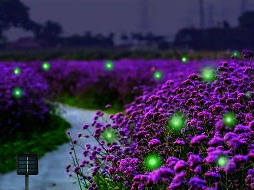 Outdoor Solar Powered Firefly Lights Bugs with 9 Bee, Flickering ...