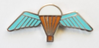 BRITISH ARMY PARACHUTE WINGS LAPEL PIN OR WALKING STICK MOUNT | eBay UK