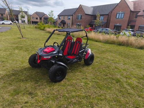 Quadzilla Tornado 175 Side-by-side (Buggy) | eBay UK