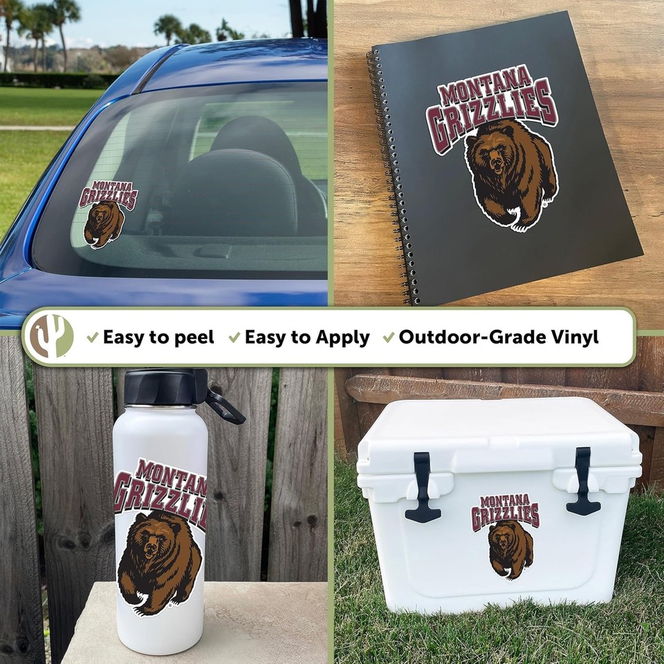 Desert Cactus University of Montana Grizzlies UM Griz UMont Vinyl Decal ...
