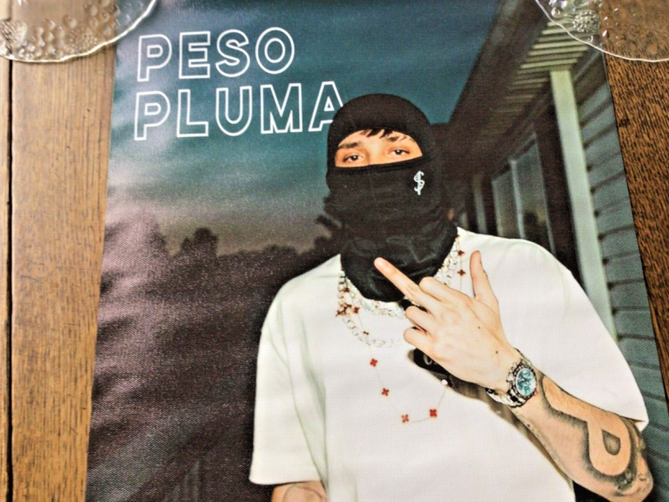 Peso Pluma Poster vinyl Canvas Art 12"x18" , New G | eBay