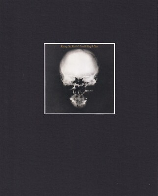 8X10" Matted Print Album Cover Art: Ministry, Mind is a Terrible Thing ...