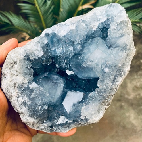 2.92LB Natural Blue Celestite Crystal Geode Cave Mineral Specimen ...
