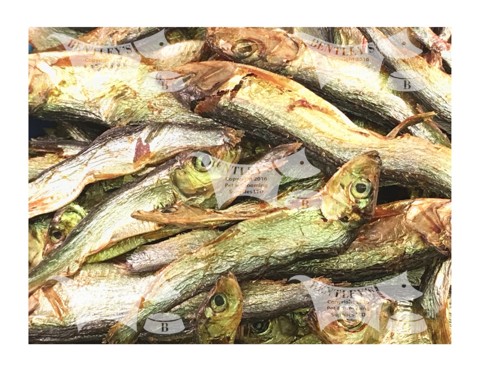 Bentley's Dried Sprats Fish - 1kg for sale online | eBay UK