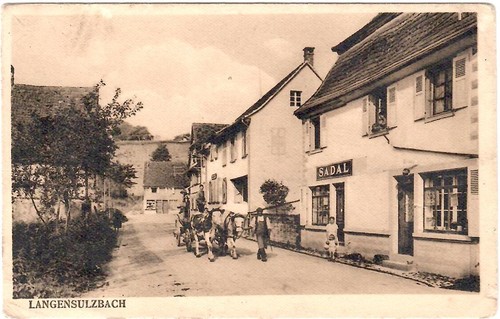 AK Langensoultzbach Langensulzbach - Kuhwagen, Geschäft Sadal - Elsass ...