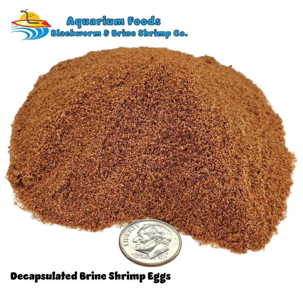 DECAPSULATED BRINE SHRIMP EGGS - DECAPSULATED ARTEMIA CYSTS - NON ...