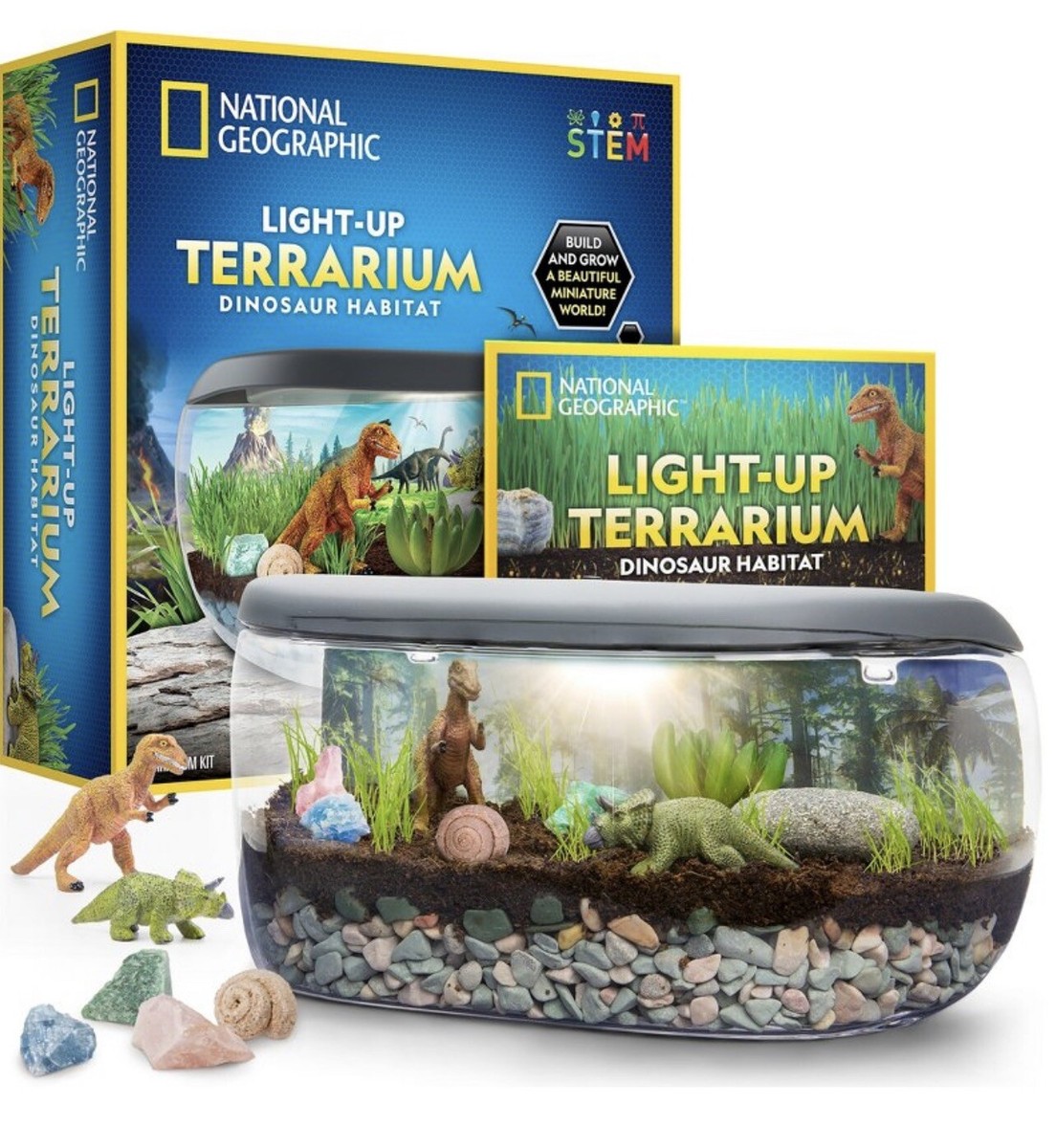 Terrarium Kit