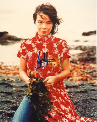 BJORK Signed Autographed The SUGARCUBES 8x10 Photo reprint | eBay