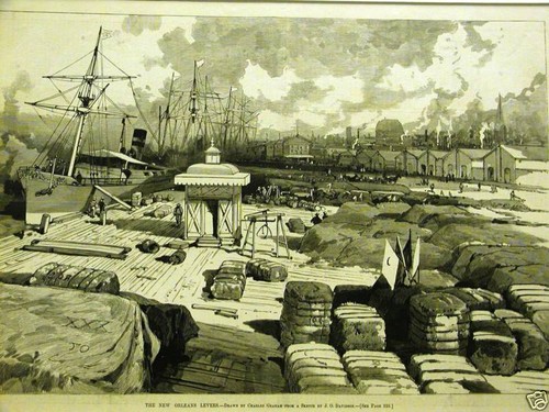 NEW ORLEANS LEVEES WATERFRONT 1884 Antique Art Matted | eBay