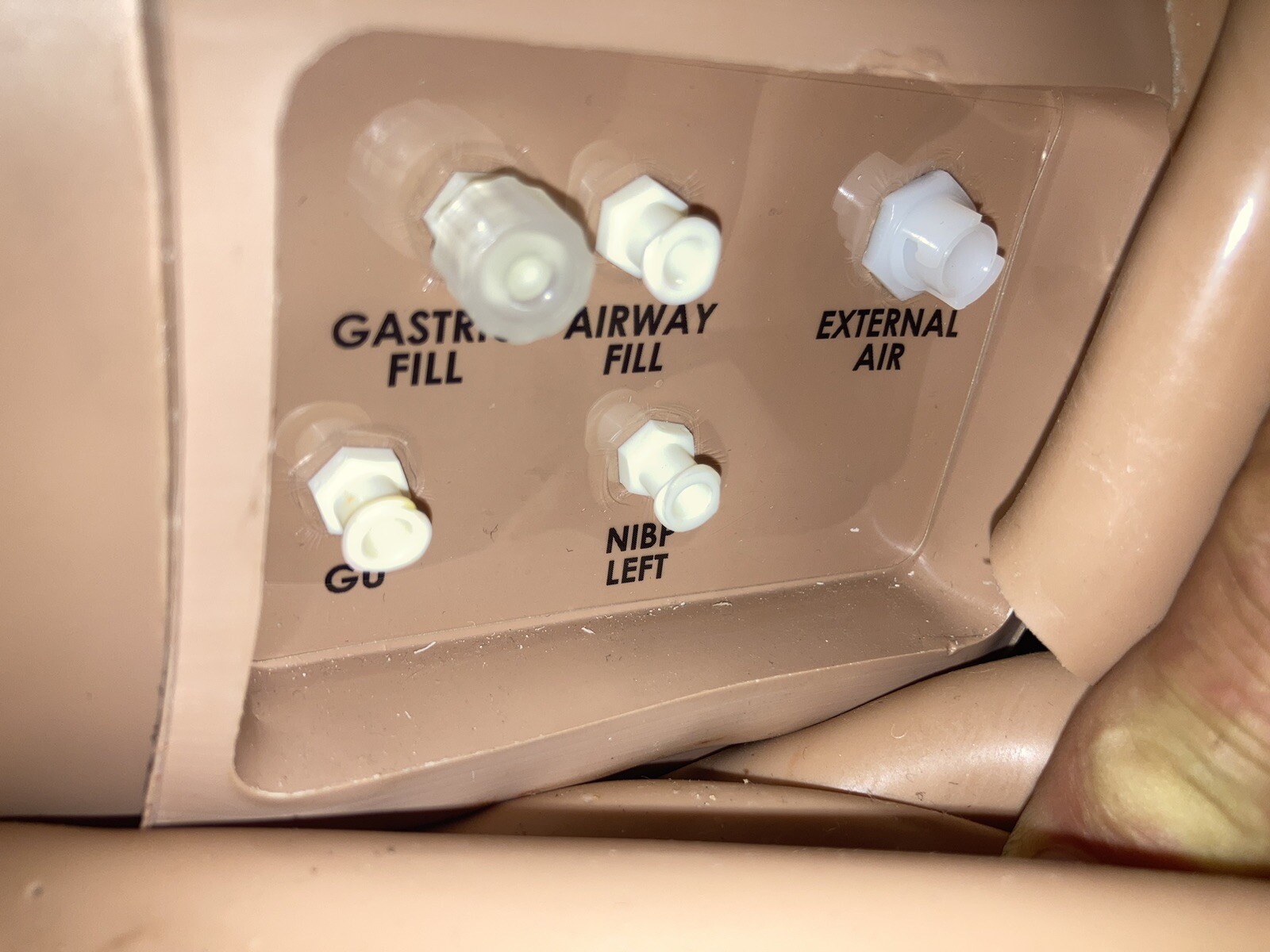 High Fidelity METIman Manikin Patient Simulator (HPS) w/ MacBook w/Muse ...