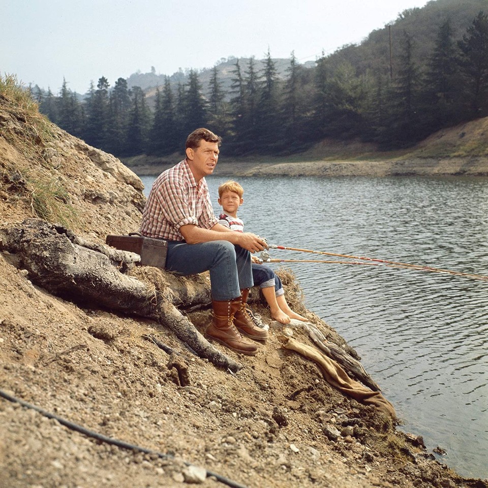 Andy Griffith Show: Season 1 (Artwork may vary) (DVD) William Lanteau ...