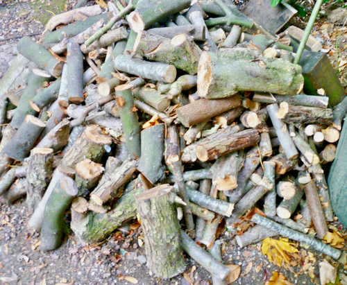 Pile of Small Sized Firewood Logs | eBay UK