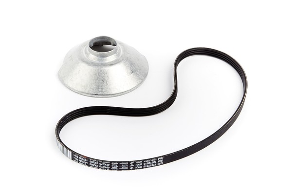 Serpentine Belt-V, VIN: P, Eng Code: LSA fits 09-10 Cadillac CTS 6.2L ...