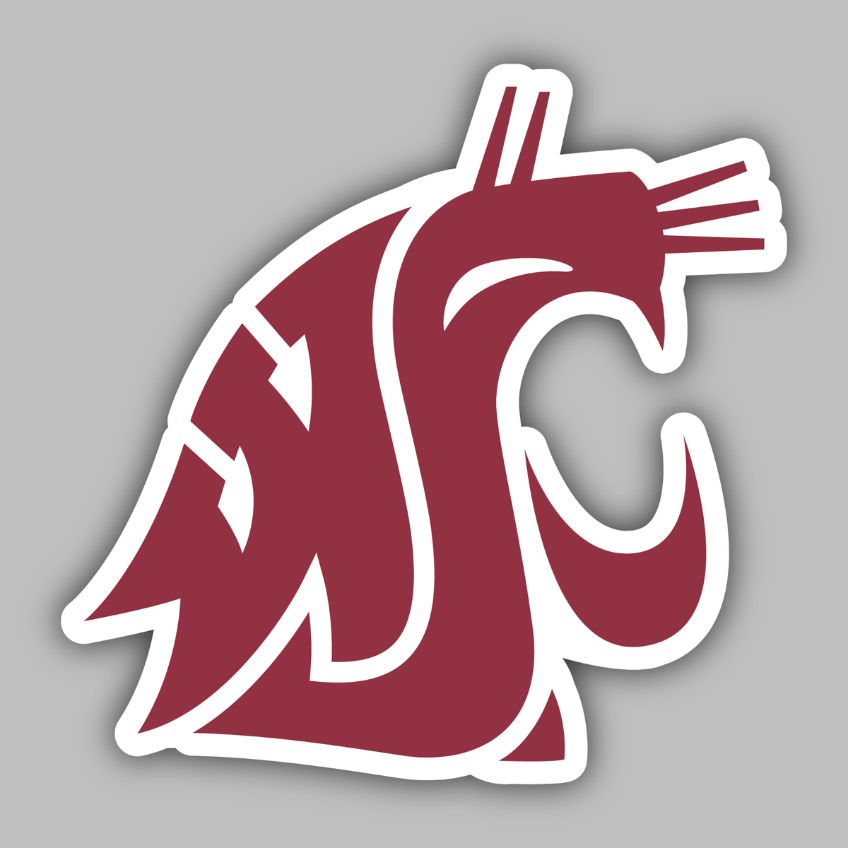 Washington State University Logo Washington State University Flag WSU
