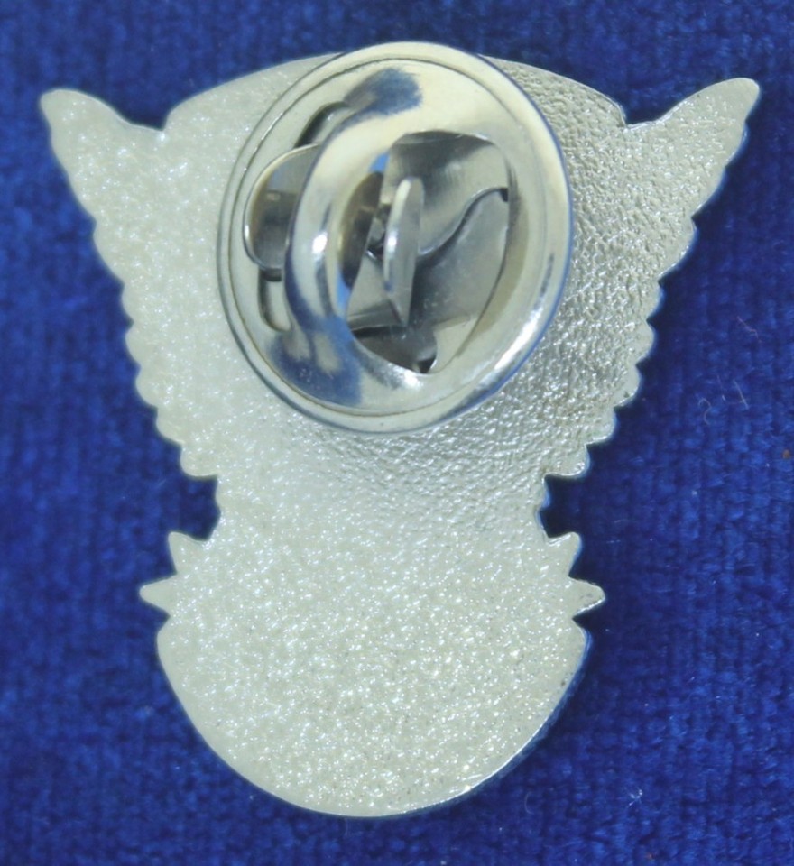 Albuquerque Police Traffic Section Uniform Pin Badge W-5 | eBay