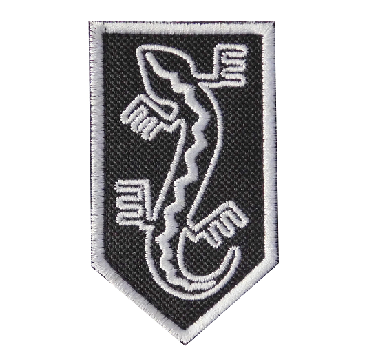 2206 WW2 POLISH MILITARY ORGANIZATION LIZARD UNION PATCH | eBay