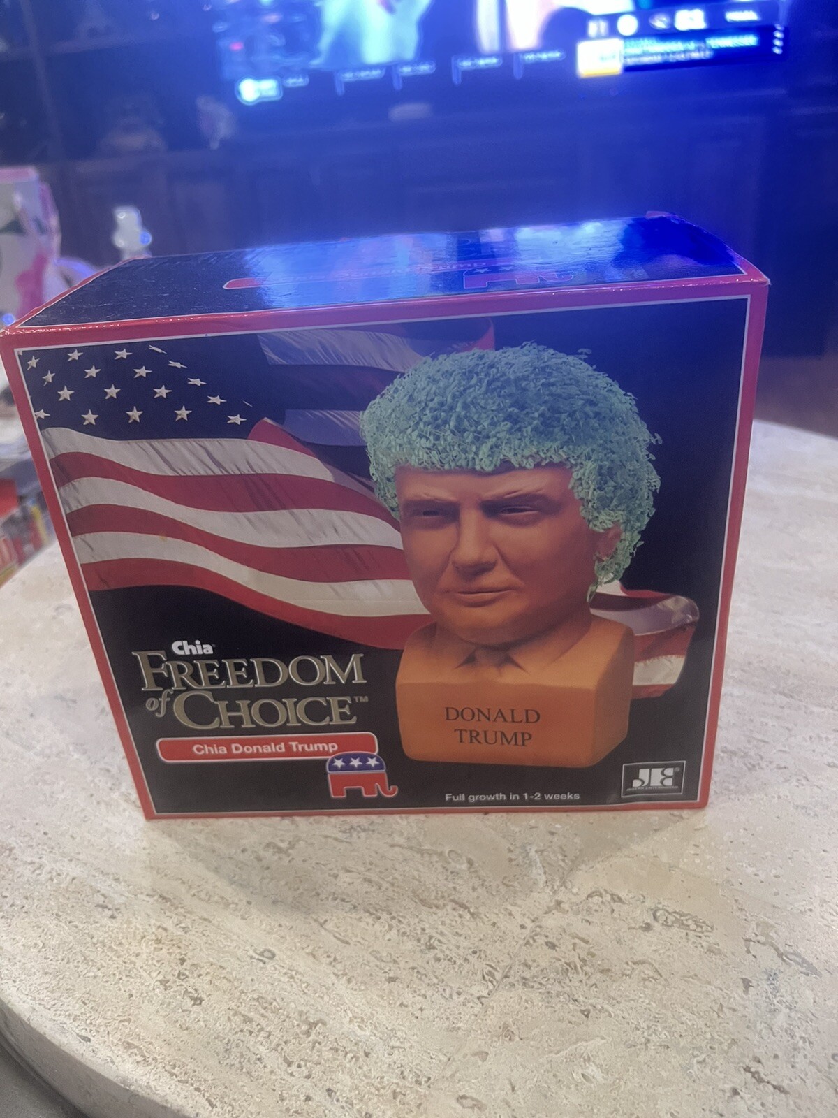 Chia CP116-01 Donald Trump Freedom of Choice Pottery Planter for sale ...